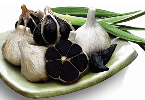 Tỏi đen chữa bệnh gì? Những ai không nên dùng tỏi đen?